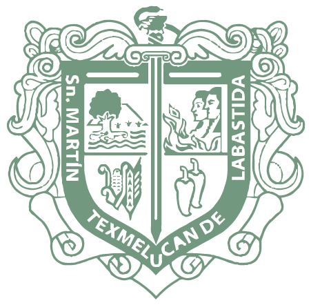 San Martín Texmelucan | Gaceta Municipal